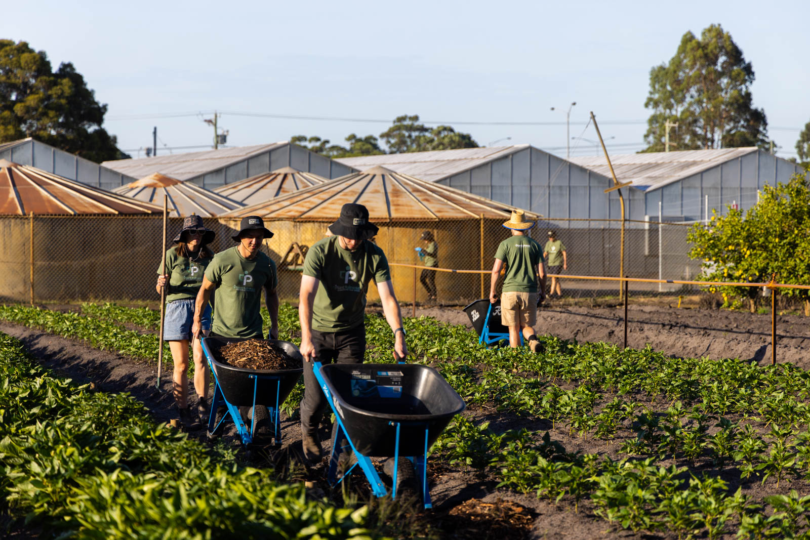 FareShare Farm - Volunteering - Plantfulness